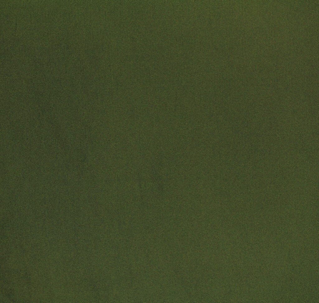 Deep Olive | Wildbird Fabric