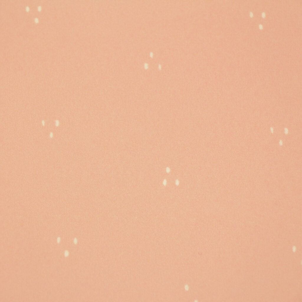 Bella Scarf – Peach | Wildbird Fabric