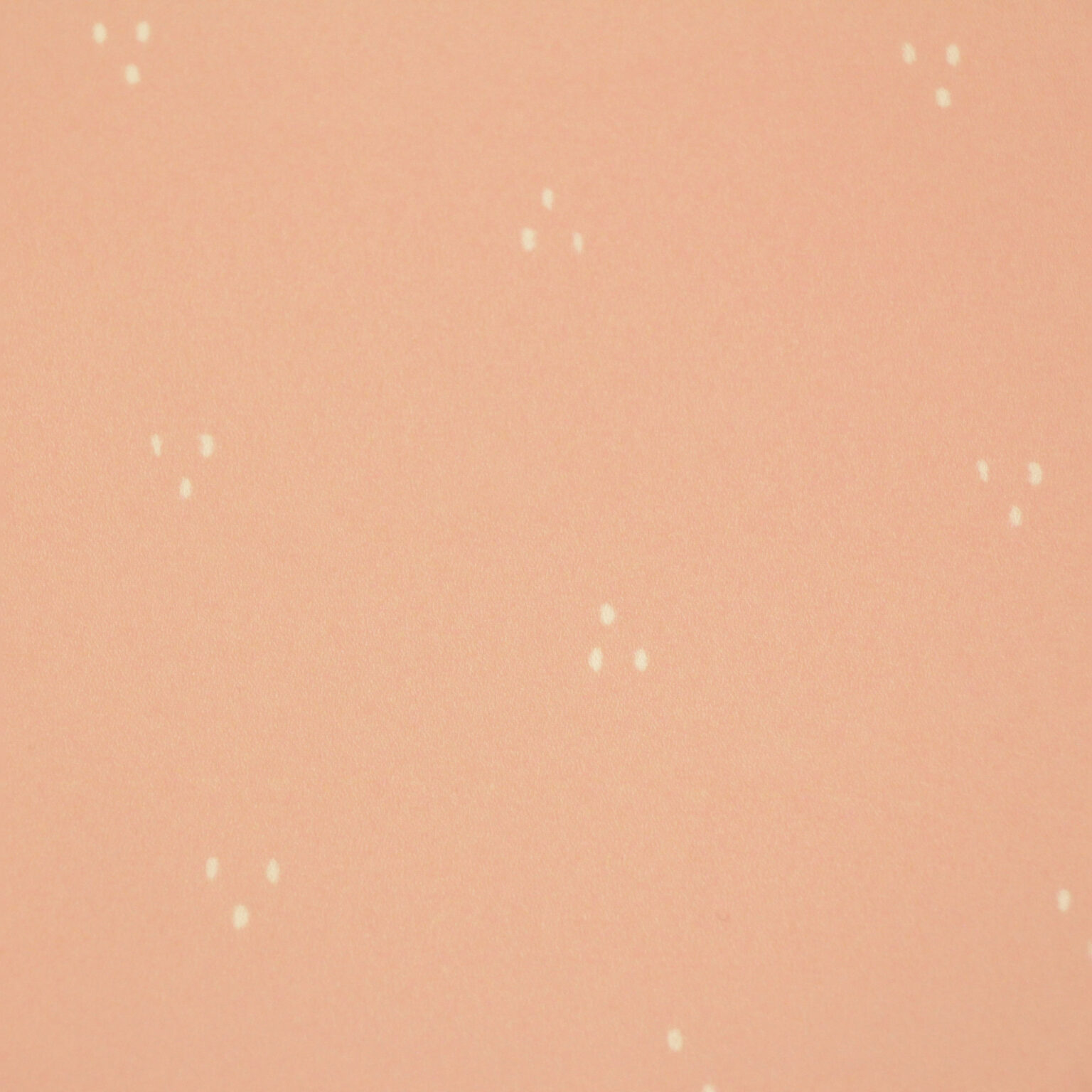 Bella Scarf – Peach | Wildbird Fabric