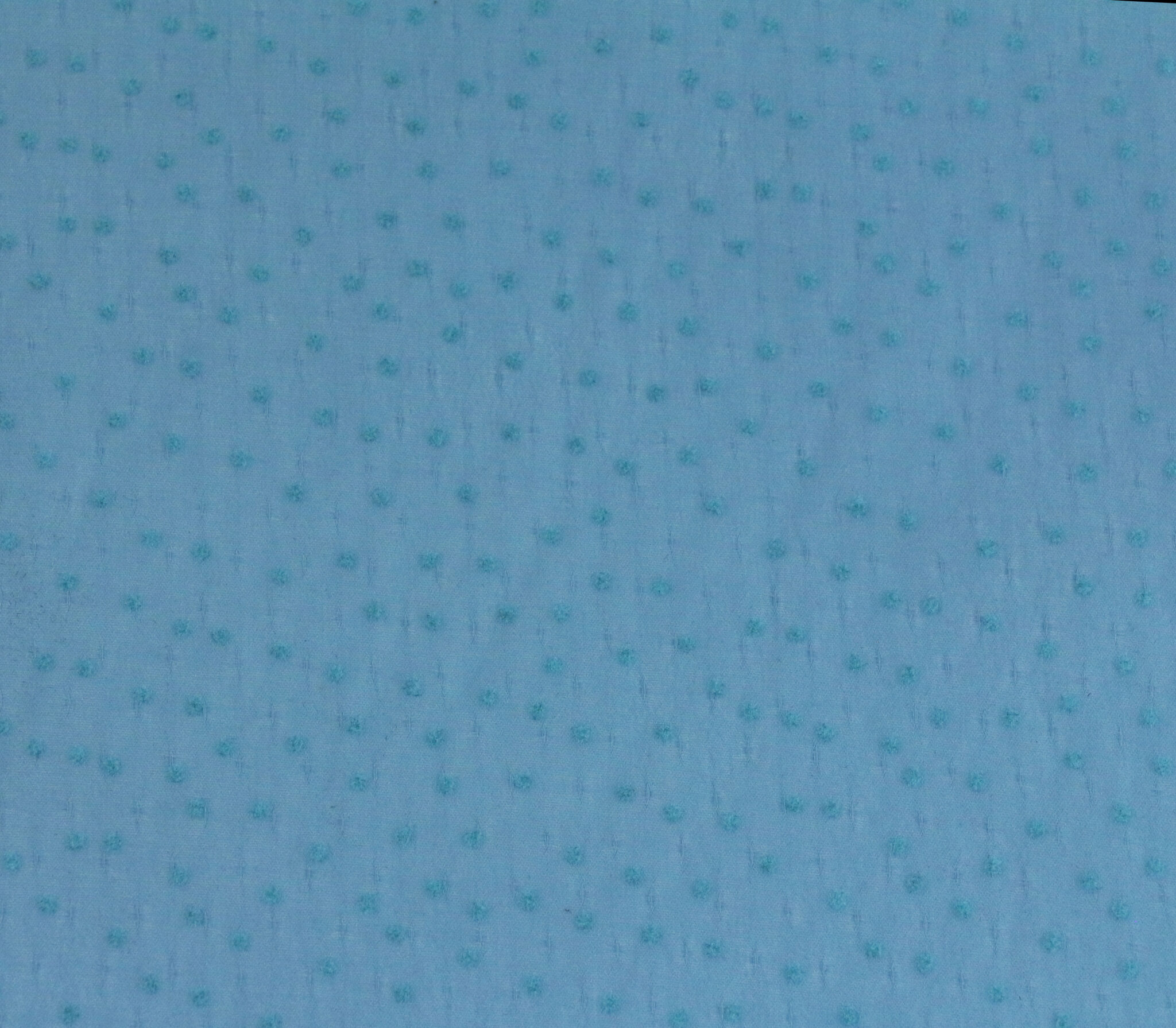Maya Blue Mini Dot Texture | Wildbird Fabric